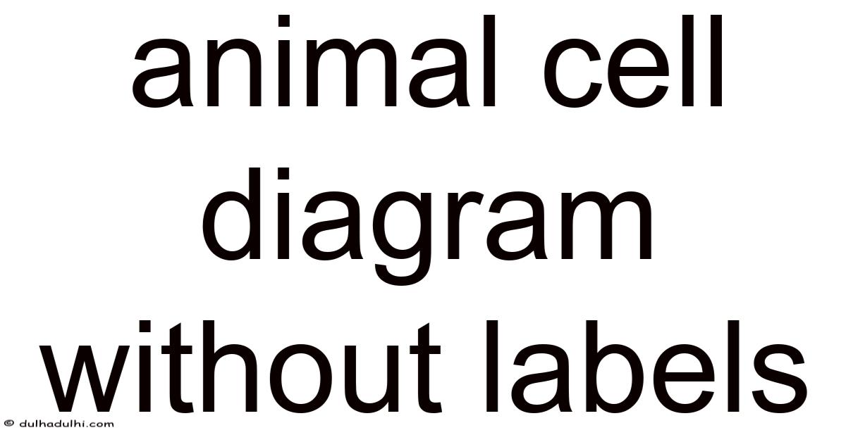 Animal Cell Diagram Without Labels